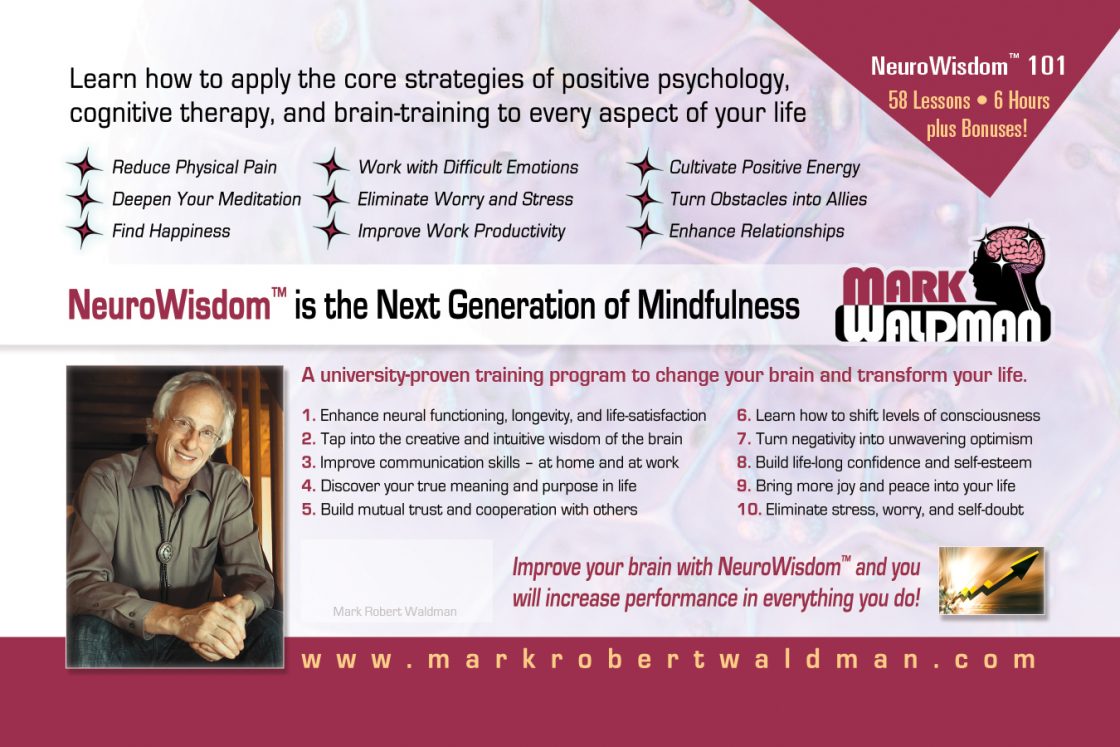 NeuroWisdom 101 Program – Cliff Schinkel Design