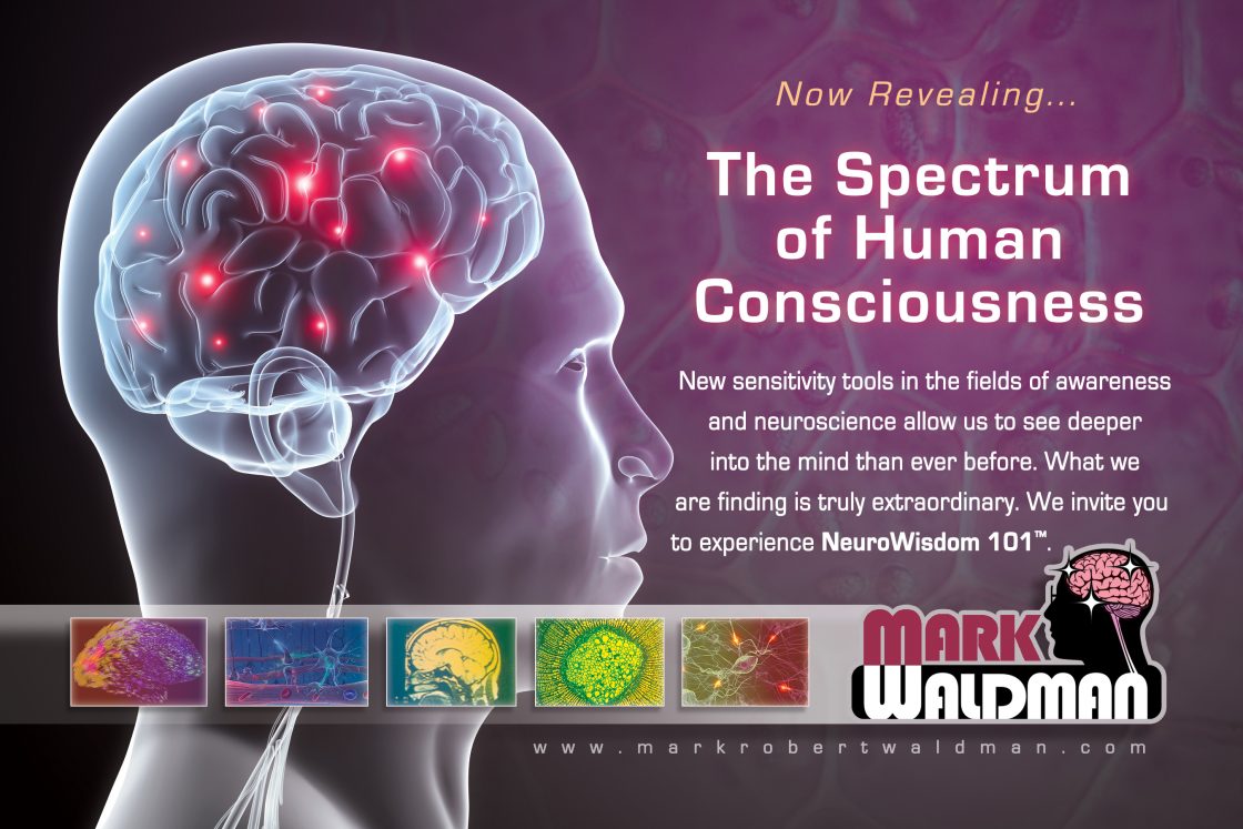 NeuroWisdom 101 Program – Cliff Schinkel Design