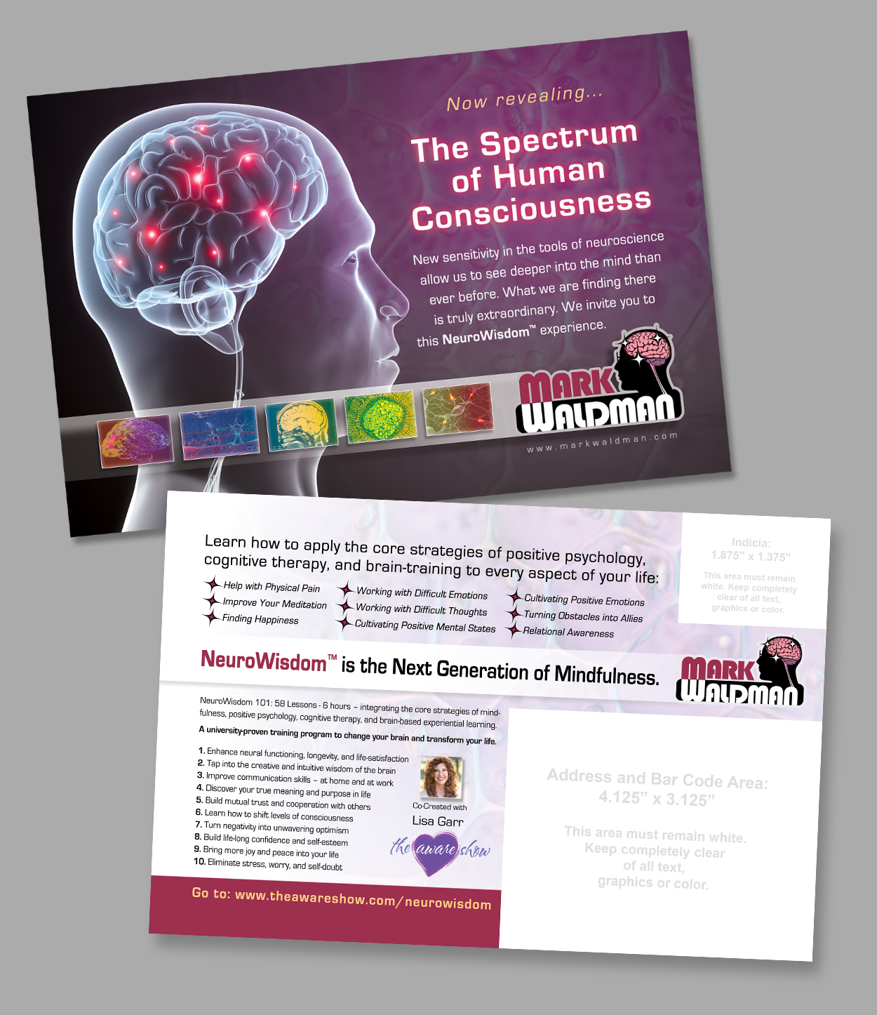 NeuroWisdom 101 Program – Cliff Schinkel Design